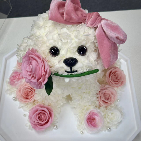 High Quality Preserved Flower Gifts - Yika Preserved Flower Store