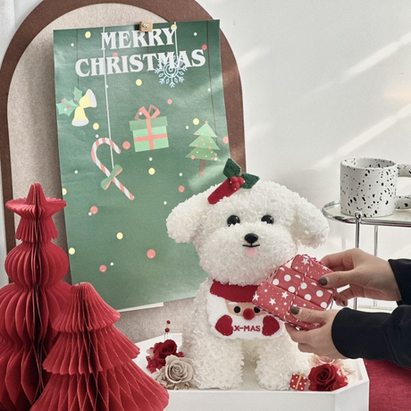 High Quality Preserved Flower Gifts - Yika Preserved Flower Store